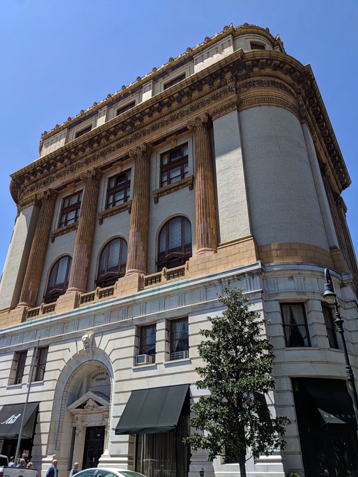 Savannah || The Gryphon – The Humble Fabulist