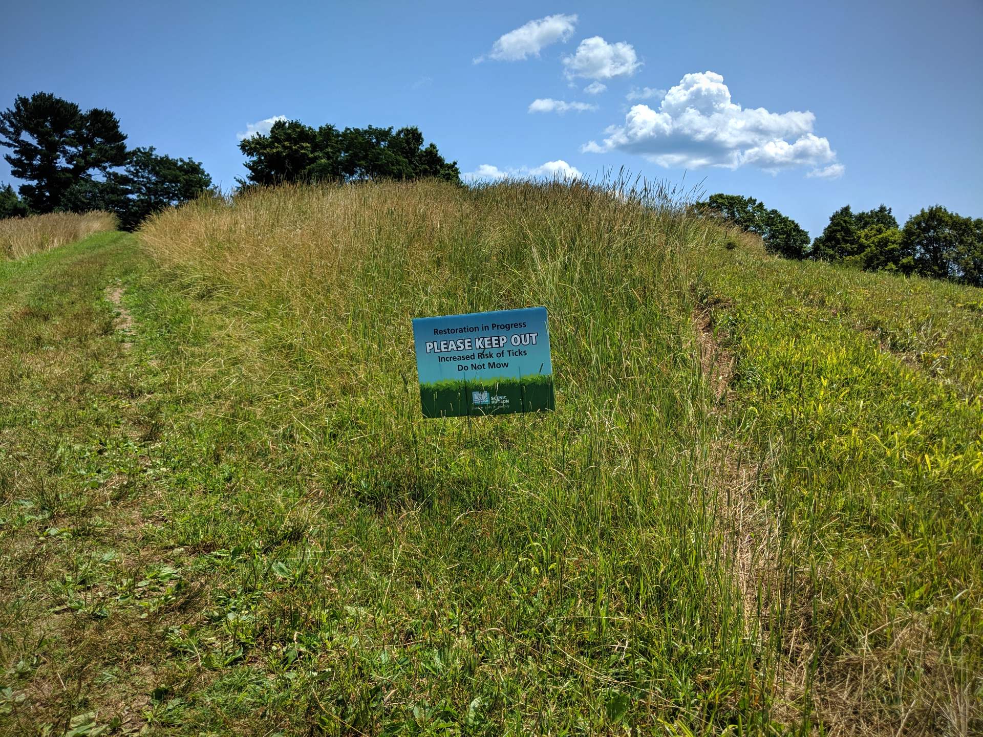 Poets’ Walk Park – The Humble Fabulist